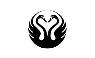 Swans logo design, brand and complete identity design